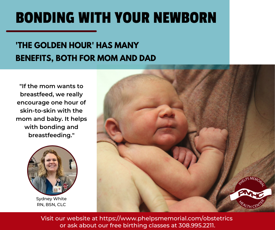 Bonding Crucial For Baby s Development Phelps Memorial Health Center bonding-crucial-for-baby-s-development-phelps-memorial-health-center